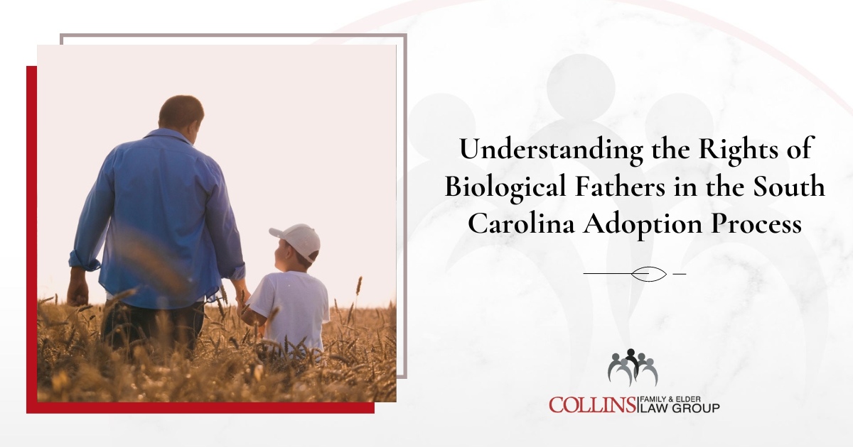 Understanding the Rights of Biological Fathers in the South Carolina ...
